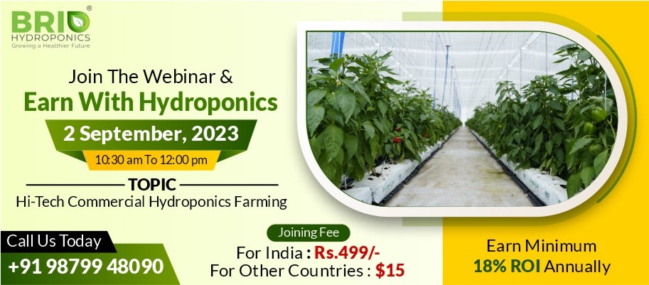 Webinar on Hi-Tech Commercial Hydroponics Farming