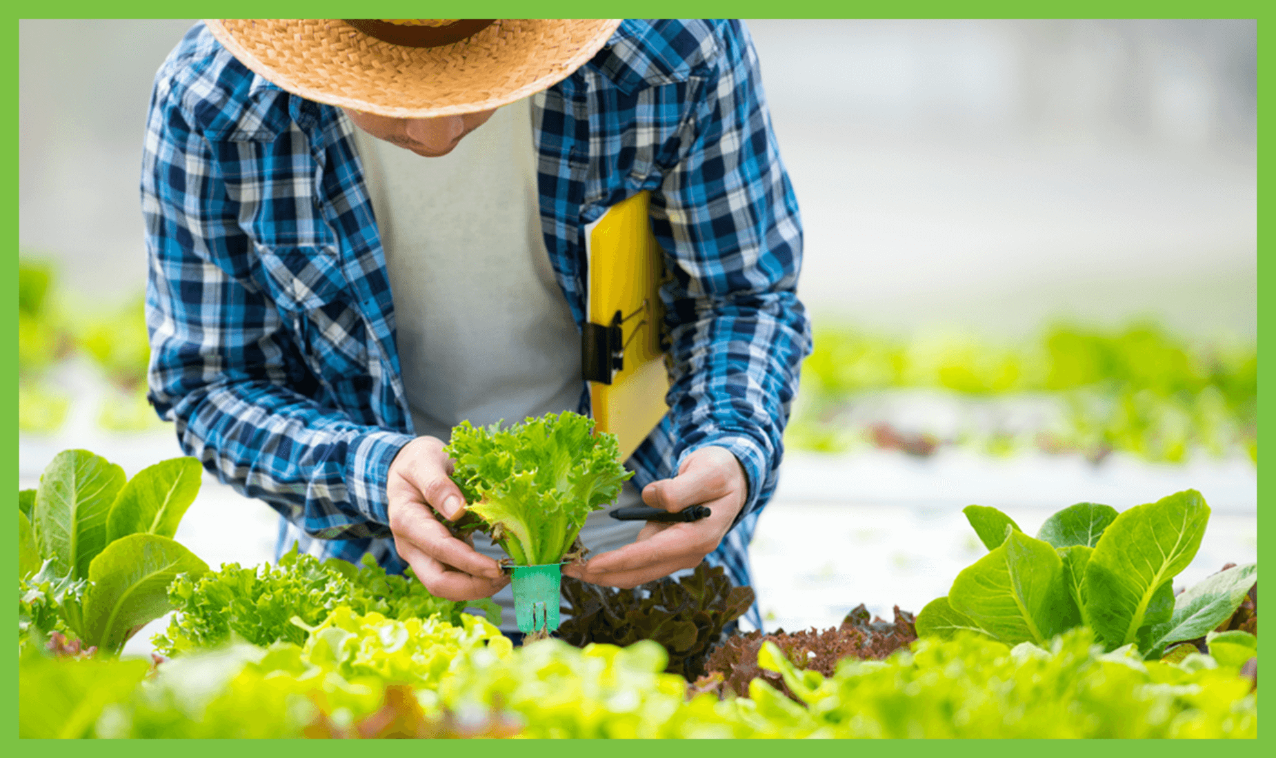 What Is Crop Selection In Farming At Derek Herrman Blog
